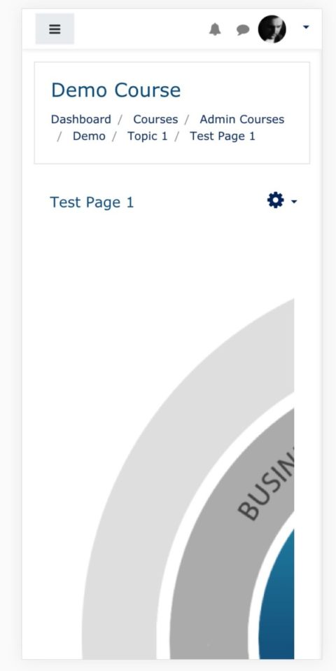 How to manage image sizes in Moodle content | Ricoshae